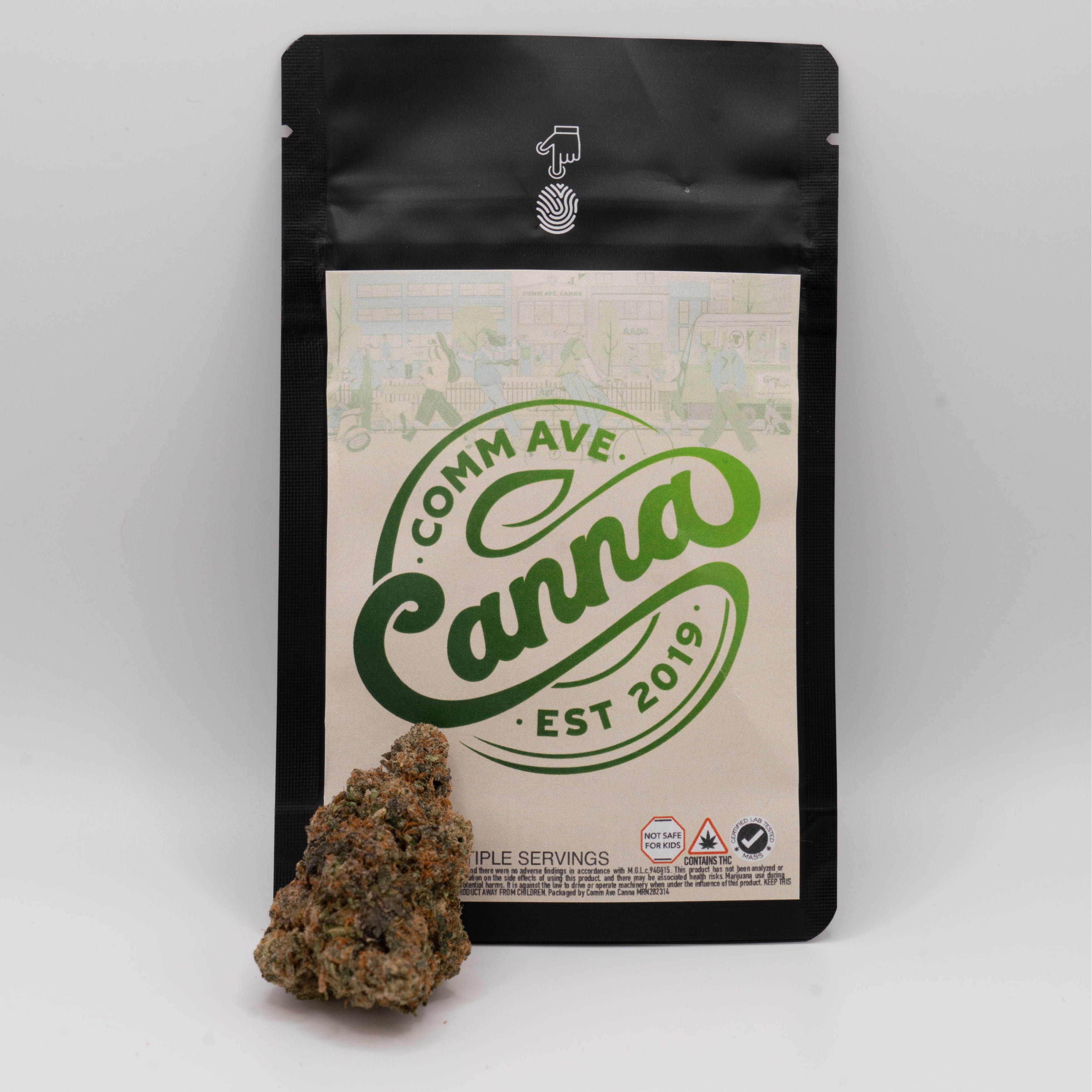 Flower | Comm Ave Canna