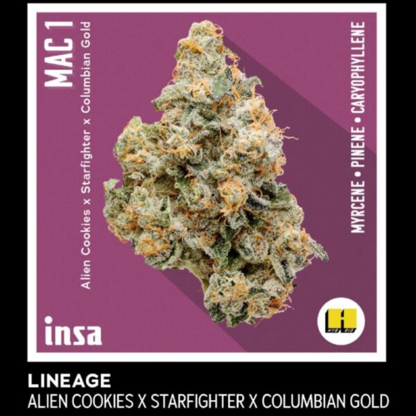MAC 1 | Flower | 3.5g | INSA | Comm Ave Canna