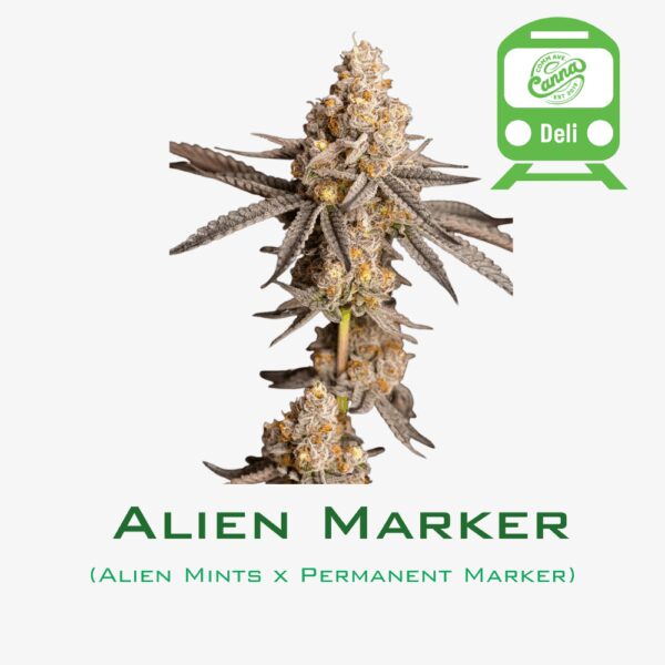 Alien Marker | Deli Flower | Cape Cod Grow Lab | Comm Ave Canna