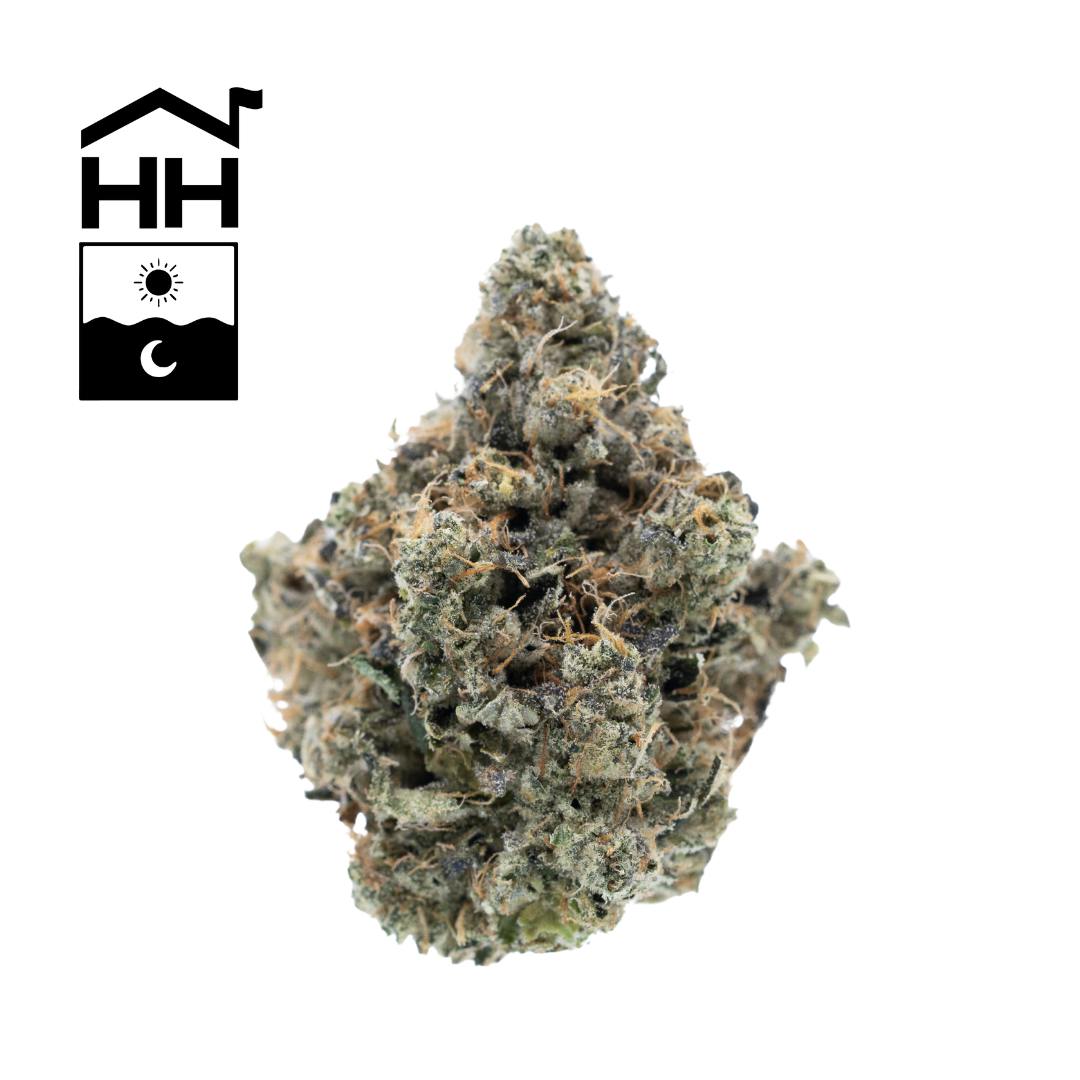 Orange 43 | Flower | 3.5g | Harbor House Collective | Comm Ave Canna